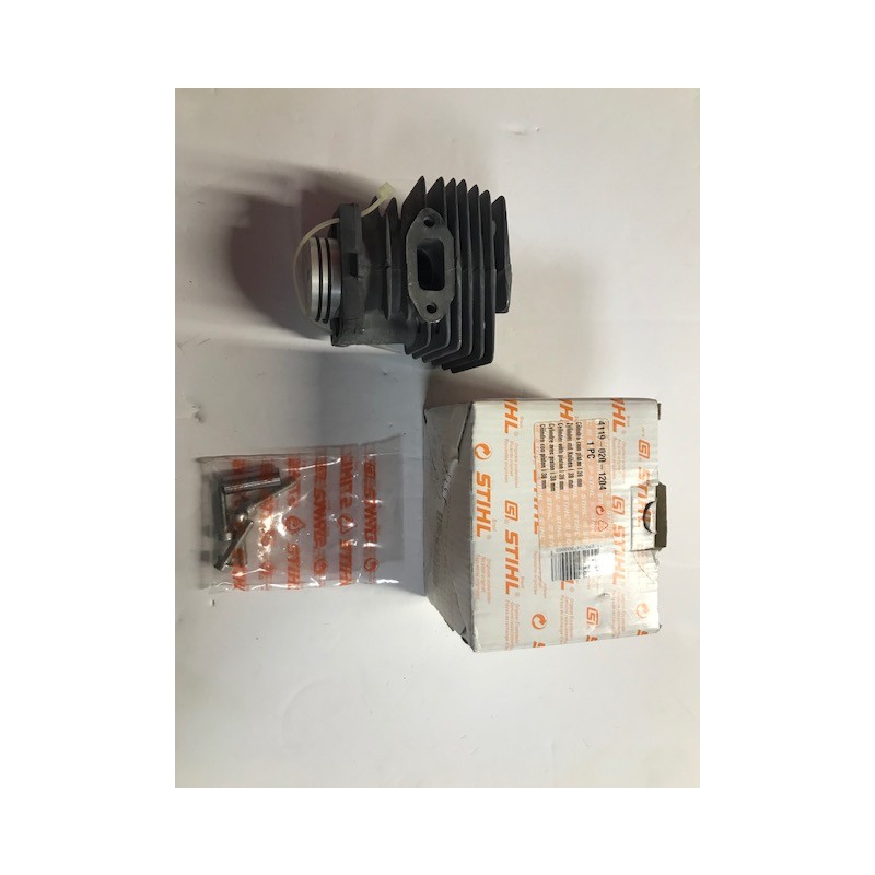 EQUIPO MOTOR STIHL FS 220